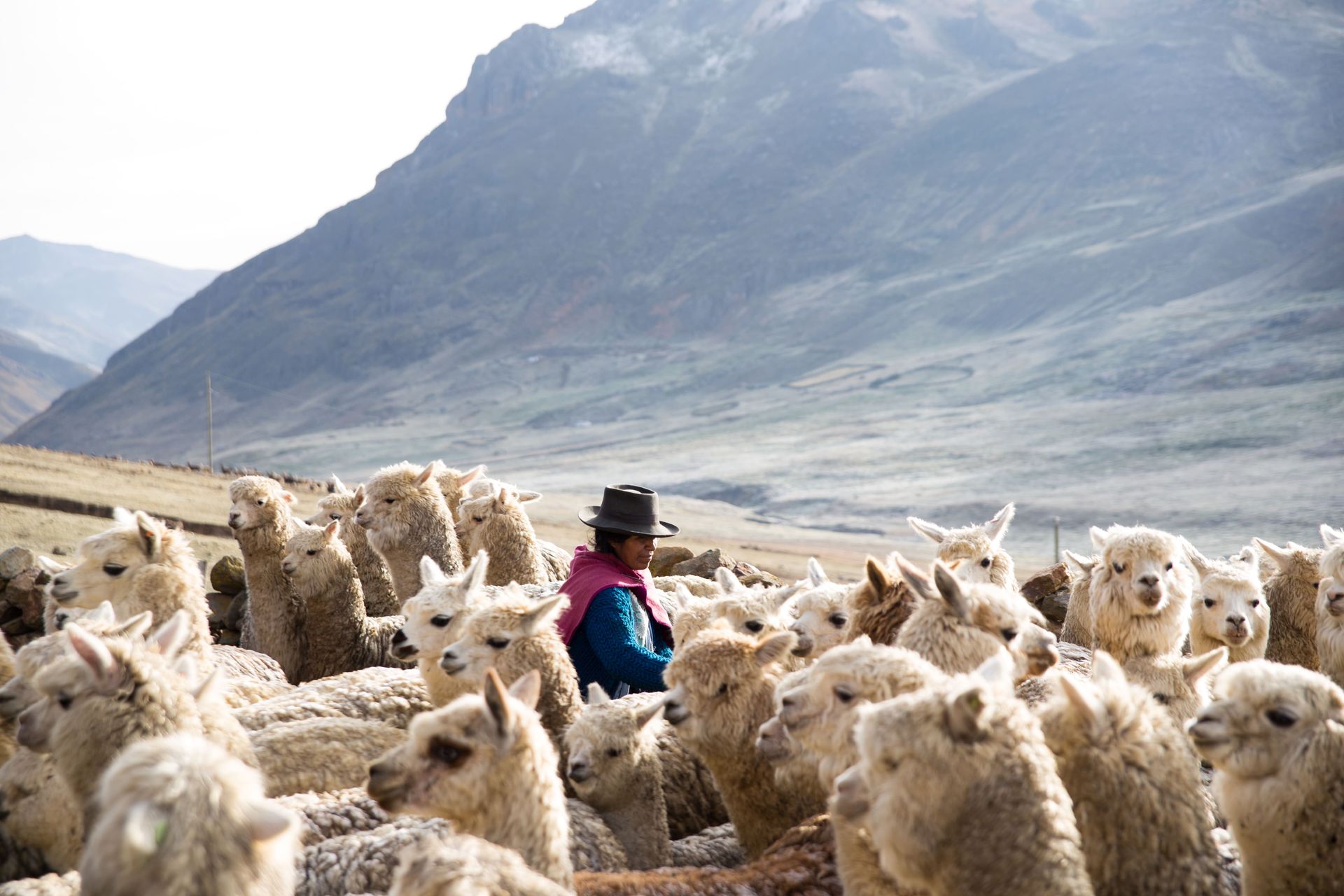 Solid - fair trade production with a heart for people