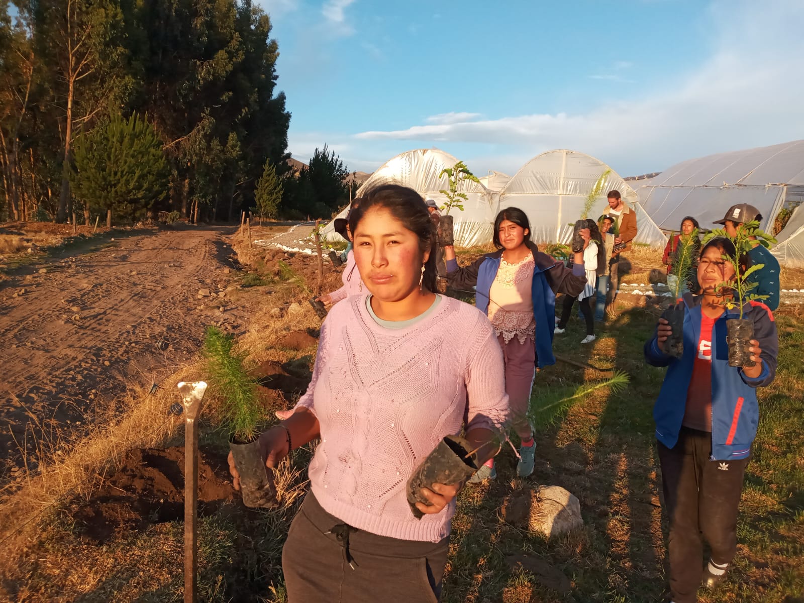 Agroforestry | Solid